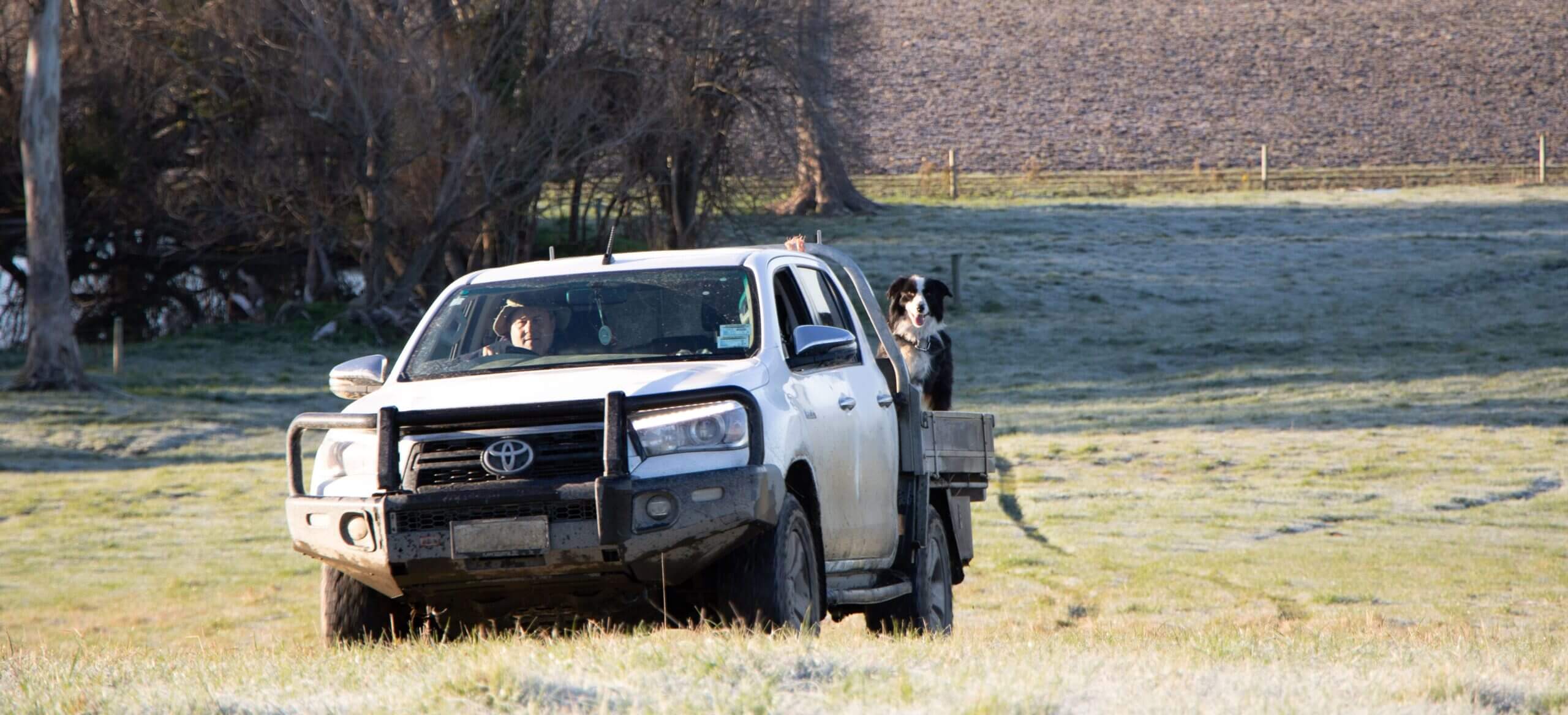 Contact us - Jones Family Farm